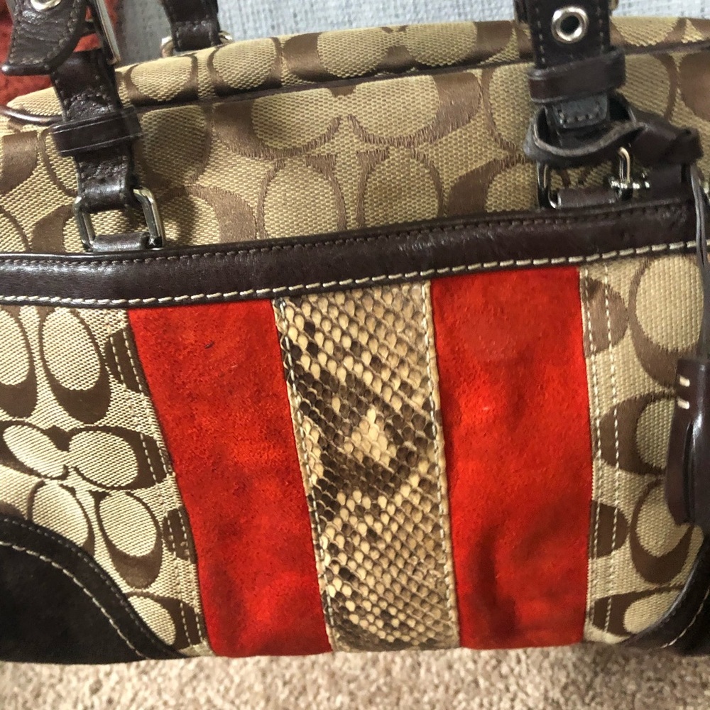 Coach Signature C, Snake And Red Stripe Handbag - Gem